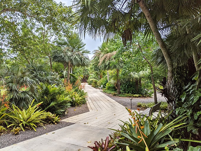 Where pathways lead to possibility. The winding stone and wooden walkways guide visitors through a carefully curated jungle that feels delightfully wild.