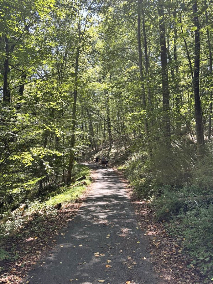 The path less traveled beckons. Hacklebarney's well-maintained trails invite explorers of all abilities to discover what lies around each bend.