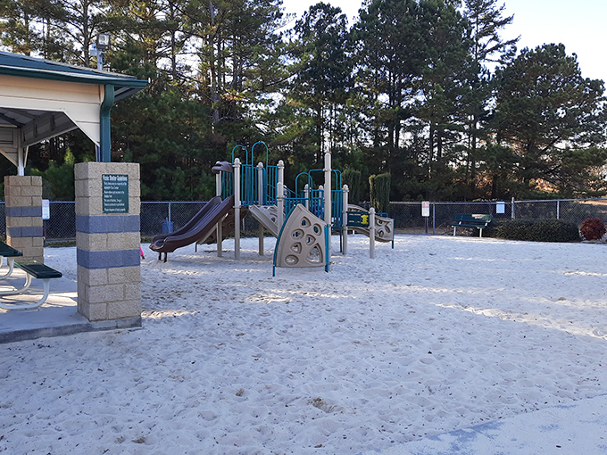 A playground where kids can actually play and parents can relax without checking their phones every five seconds.
