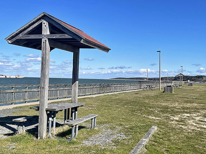 Picnic paradise with a view that makes even ordinary sandwiches taste gourmet. The Chesapeake Bay provides the perfect backdrop for lunch al fresco.