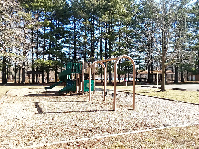 Playground equipment that survived the test of time and countless sugar-fueled adventures.
