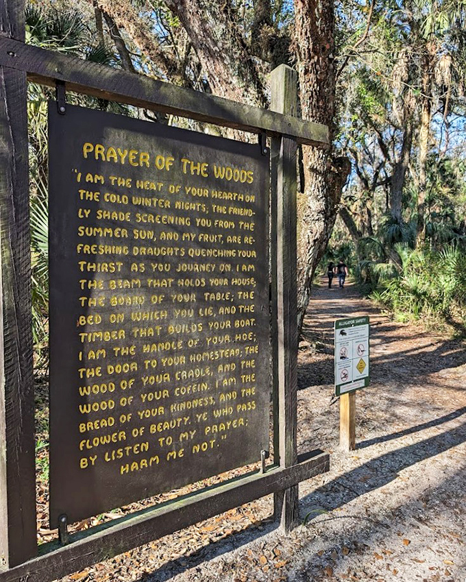 The "Prayer of the Woods" reminds visitors that before smartphones and stress, humans and trees had a much simpler relationship.