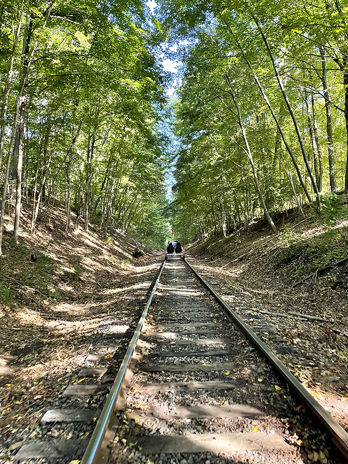 Nature creates the perfect corridor for adventure. Walking these tracks feels like stepping into a Robert Frost poem with a dash of Stand By Me nostalgia.