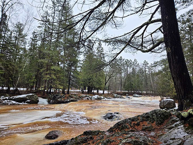 After heavy rain, the Amnicon River transforms from gentle stream to amber-tinted torrent, showcasing nature's impressive mood swings.