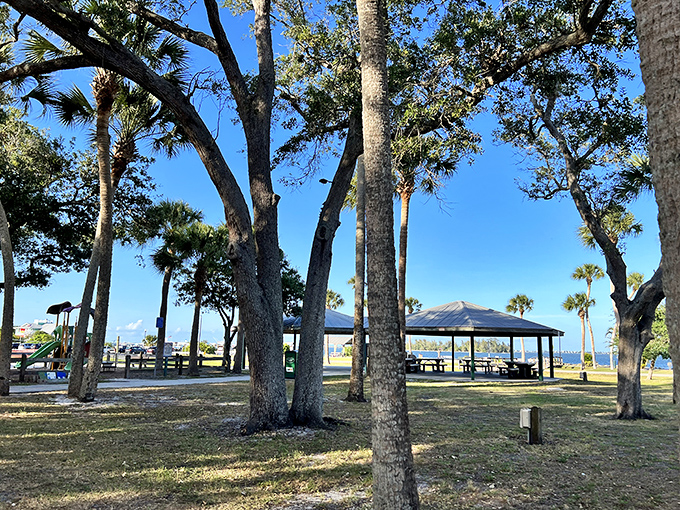 Nature provides the best entertainment at Riverview Park, where towering pines create natural shade for afternoon gatherings and waterfront picnics.