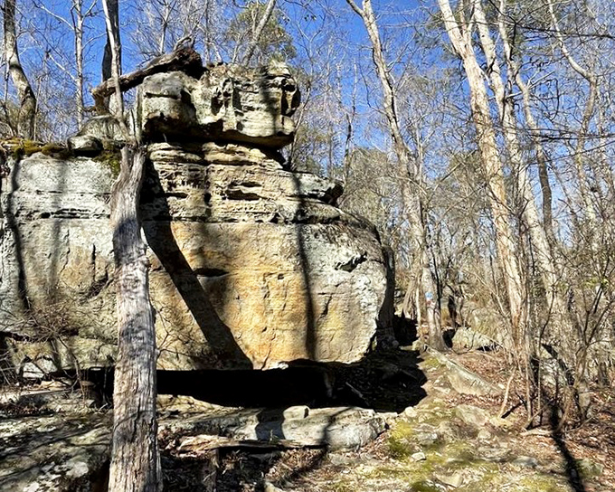 Nature's sculpture garden: These ancient sandstone formations have been patiently waiting for your selfie for about 300 million years.