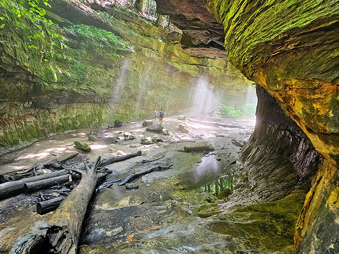 Nature's own misty spa treatment awaits in the "weeping rocks" of Falls Canyon, where water seeps through sandstone creating perpetual indoor rain.