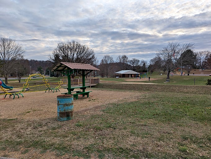 Even on overcast days, Rogersville Municipal Park offers a peaceful retreat where kids can play while parents pretend they're not exhausted.