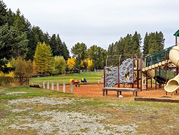 Even the playground in Roslyn embraces the town's rustic charm, surrounded by autumn-kissed trees and mountain air.