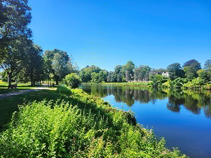 Mother Nature doesn't charge admission for her best work—Putnam's serene parks offer million-dollar views on a Social Security budget.