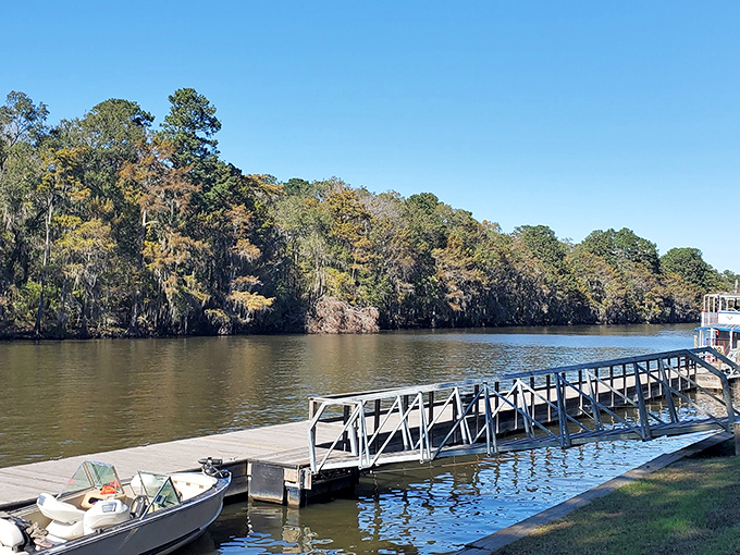 The cypress trees stand like ancient guardians along the shoreline, their reflection creating nature's perfect symmetry. Mother Nature showing off again.