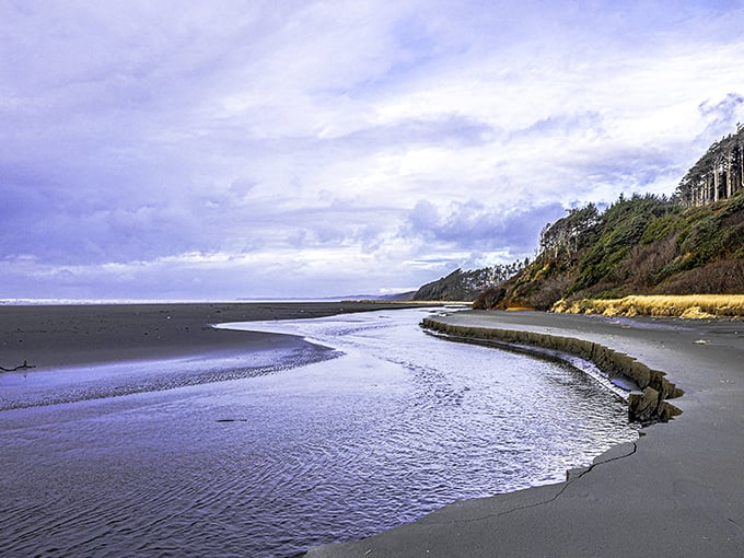 Nature's mood ring on full display. The Washington coast offers a masterclass in dramatic landscapes where river meets ocean in a swirl of purples and blues.