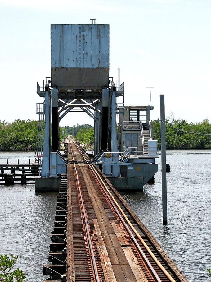 The engineering marvel that carries passengers over Florida's waterways, where alligators and history share the same neighborhood.