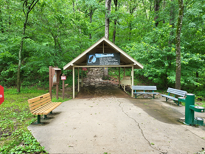 This trailhead shelter says, "The adventure starts here," while the benches whisper, "You'll thank us on your way back."