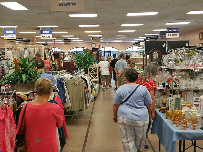 Shoppers navigate aisles with the focused intensity of contestants on a game show hunting for prizes.