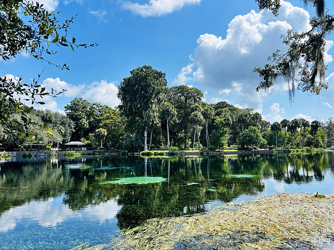Mirror, mirror on the water&mdash;this pristine reflection could make Narcissus forget himself all over again. Florida's natural infinity pool doesn't need chlorine.