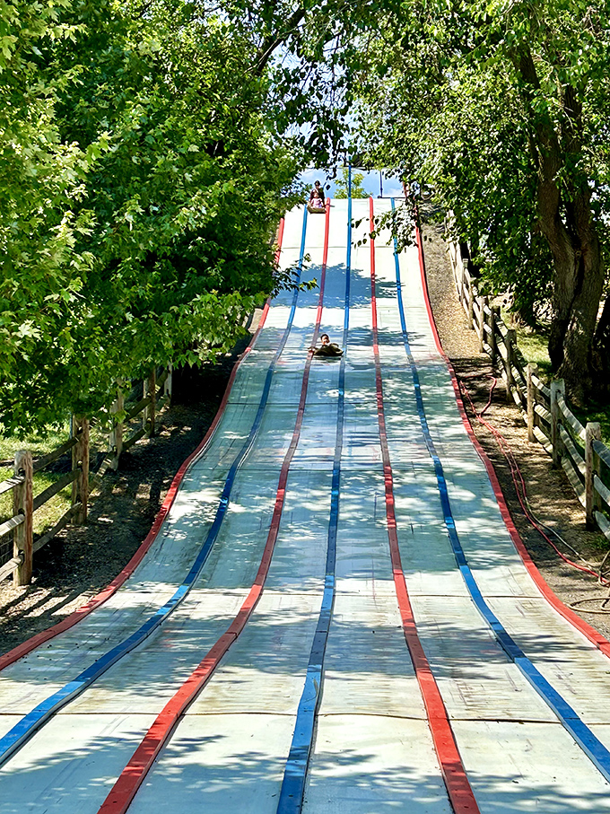 This giant slide turns dignified adults into giggling children faster than you can say "my health insurance covers this, right?"