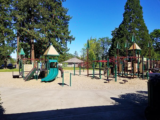 Stewart Park's towering oaks create nature's cathedral, where every walk feels like a meditation you actually enjoy.