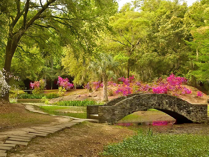Mother Nature's stone archway stands as proof that the best architects don't have degrees &ndash; they have roots, water, and infinite patience.