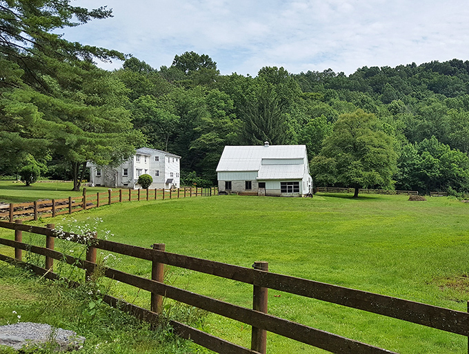 Step inside and you're walking through a wooden cathedral of craftsmanship—each beam telling stories from another century.
