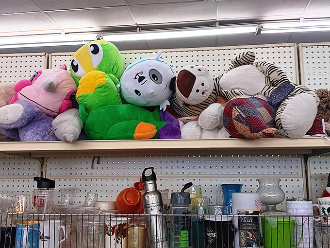 These plush companions have seen better days, but they're ready to bring joy to a second home.