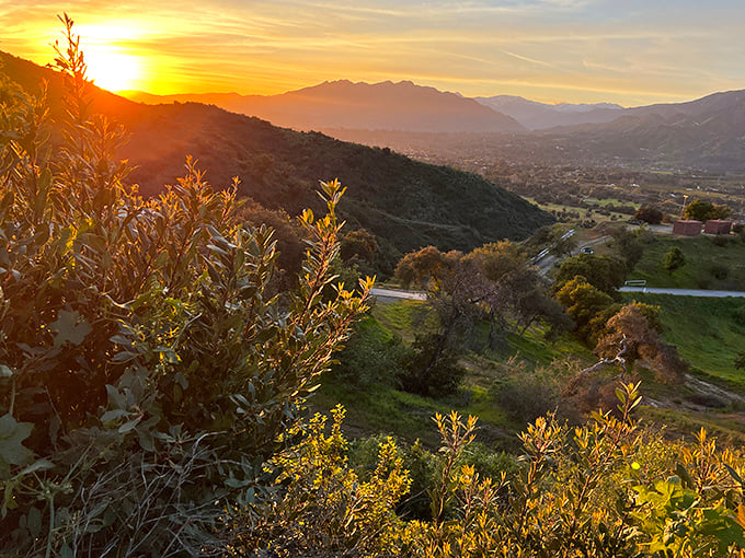The famous "pink moment" transforms Ojai at sunset, painting the valley in colors that would make even Monet put down his brush in respectful awe.