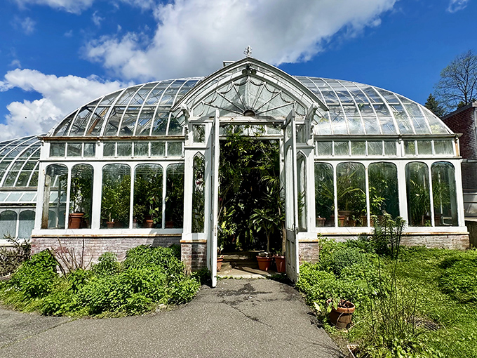 The Botanic Garden at Smith College: where plants throw better parties than most humans. That greenhouse has seen more drama than a reality TV show.