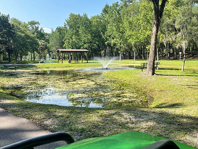 Tom Varn Park offers that quintessential Florida serenity &ndash; a fountain, a pavilion, and enough green space to forget your inbox exists.
