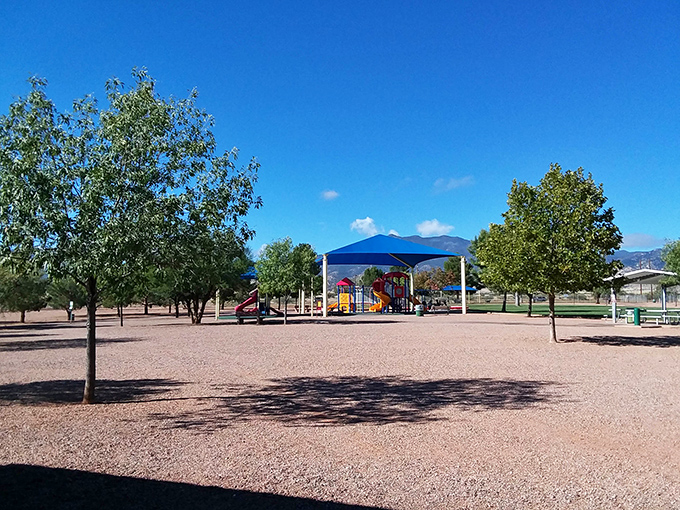 This playground waits patiently under the endless Arizona sky &ndash; where kids burn energy and parents secretly wish they could join the fun.