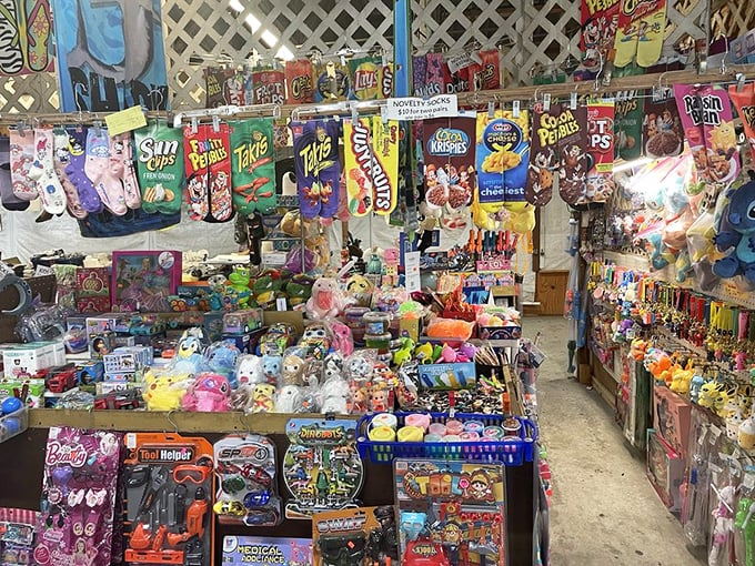 A nostalgic candy-lover's paradise where cereal box characters from your childhood watch over a kingdom of toys, trinkets, and treats that would make Willy Wonka envious.