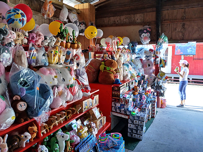 Stuffed animal kingdom! Where childhood dreams hang in plastic bags, waiting for the right kid (or kid-at-heart) to take them home.