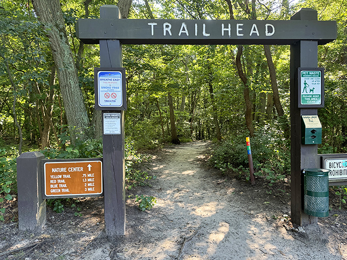 The gateway to adventure stands ready at this well-marked trailhead. Five distinct paths await, each promising its own version of woodland magic.