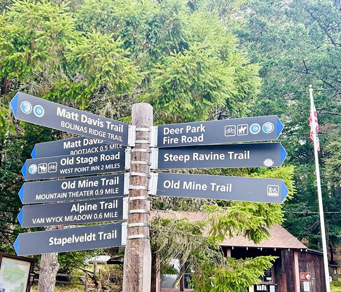 Decision time at the trail crossroads! More options than a streaming service menu, but every choice leads to something spectacular.