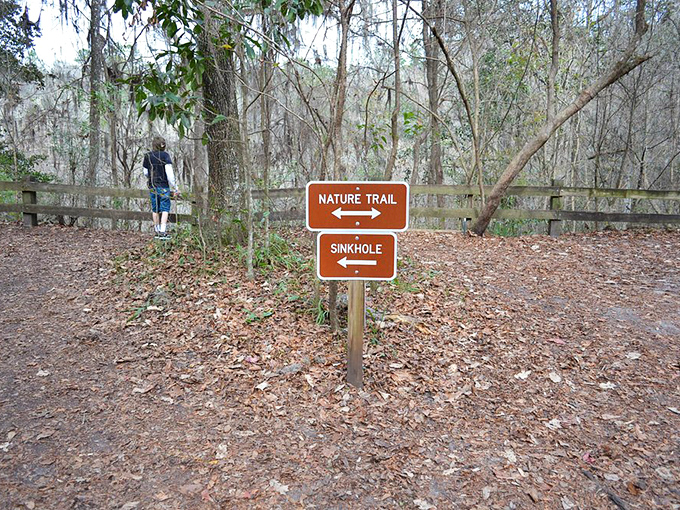 Life's big decisions: take the nature trail or plunge straight into the sinkhole? Either way, adventure awaits.