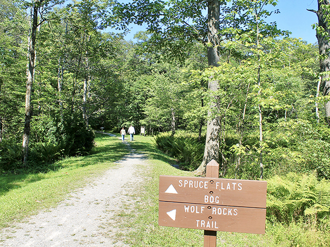 "Spruce Flats or Wolf Rocks?" The trail sign asks the eternal question, like choosing between cake and pie.