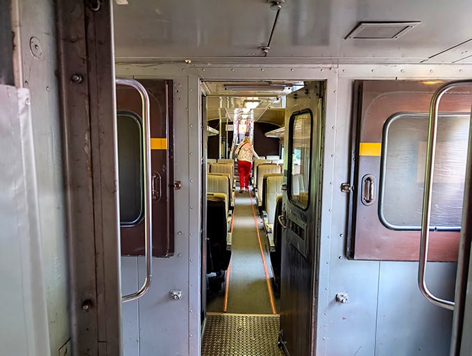 Step inside these restored coaches where comfort meets nostalgia, complete with wide windows for mountain gazing.