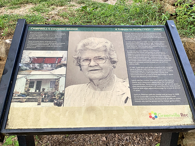 Beaverdam Creek meanders peacefully beneath the bridge, its gentle current carrying autumn leaves downstream like nature's own conveyor belt.