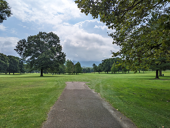 Nature's own cathedral awaits at Uniontown's green spaces, where towering trees create a peaceful sanctuary just minutes from downtown hustle.