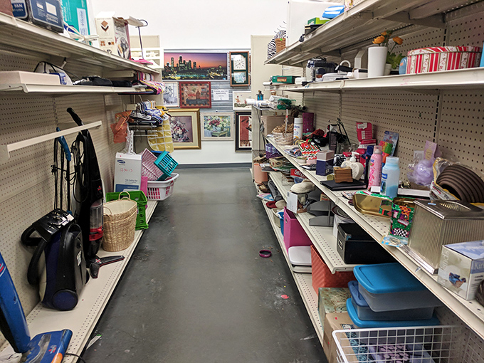 Every aisle tells a story of items seeking second chances. One person's decluttered space becomes another's perfectly timed discovery.