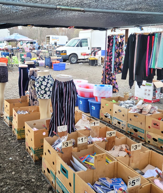 Bargain hunters' paradise where cardboard boxes become treasure chests. The $1 bin might contain exactly what you didn't know you needed.