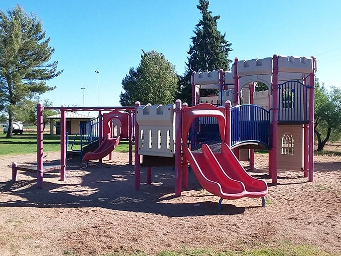 This playground isn't just for the grandkids! Sierra Vista's parks system provides recreation spaces where multiple generations can enjoy the outdoors together.