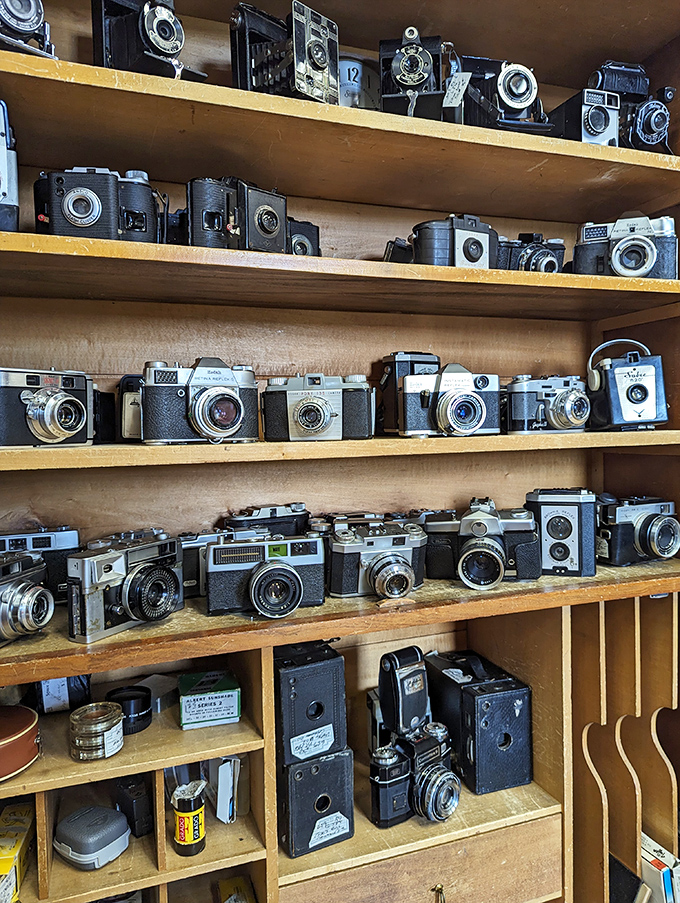 A photographer's dream or nightmare? These vintage cameras once captured history, now they're making it—one collector's obsession at a time.