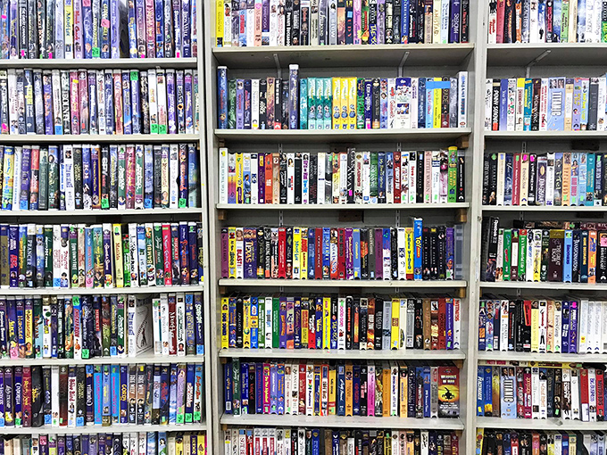 A time-traveling wall of nostalgia where VHS tapes and DVDs stand like soldiers, guarding entertainment history before streaming conquered our living rooms.