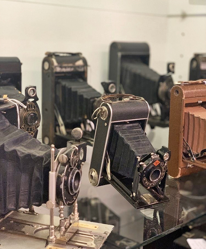 A collection of vintage cameras that would make any film buff swoon. Each folding bellows and mechanical shutter tells stories from an era before digital immediacy.