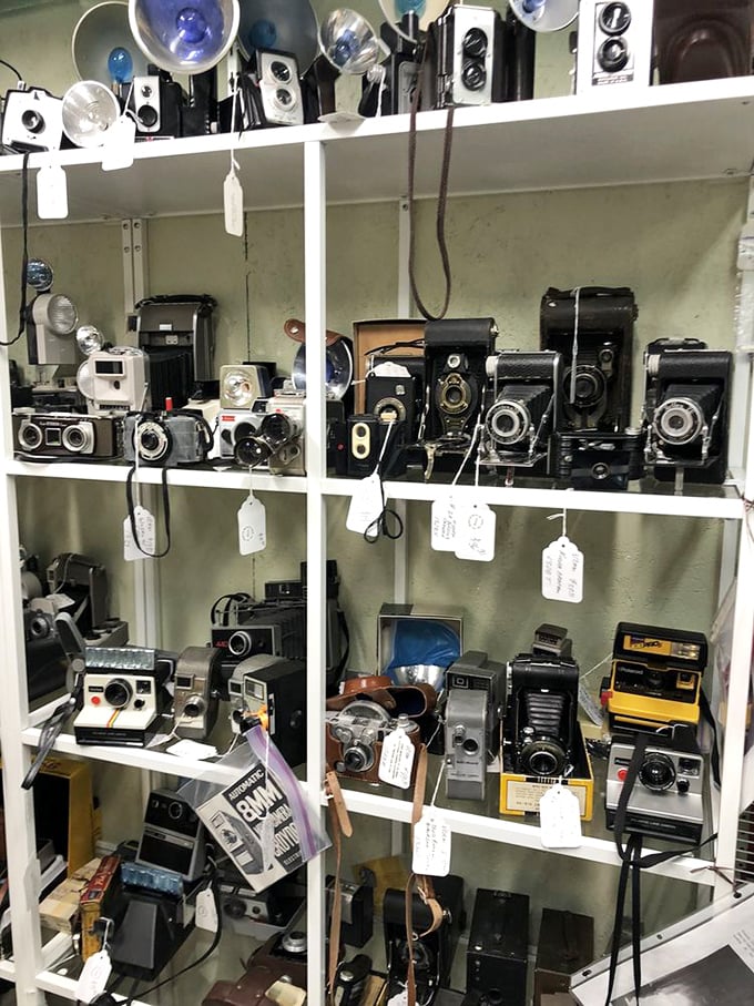 A photographer's dream collection! These vintage cameras once captured family vacations and first steps long before smartphones made everyone a documentarian.