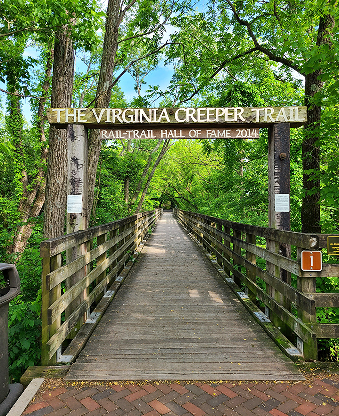 The Virginia Creeper Trail welcomes adventurers with a wooden bridge to somewhere wonderful. This rail-trail paradise offers 34 miles of scenic escape from modern chaos.