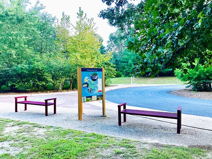 Even the waiting areas at Trap Pond are thoughtfully designed&mdash;these benches offer a moment to catch your breath before the next adventure.