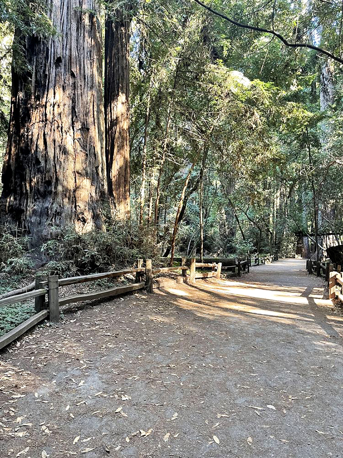 Standing sentinel for centuries, these giants make your everyday problems seem delightfully insignificant by comparison.