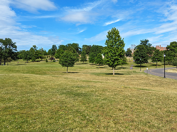 Olmsted's genius shines in Walnut Hill Park, where open green spaces invite retirees for morning strolls and afternoon contemplation.