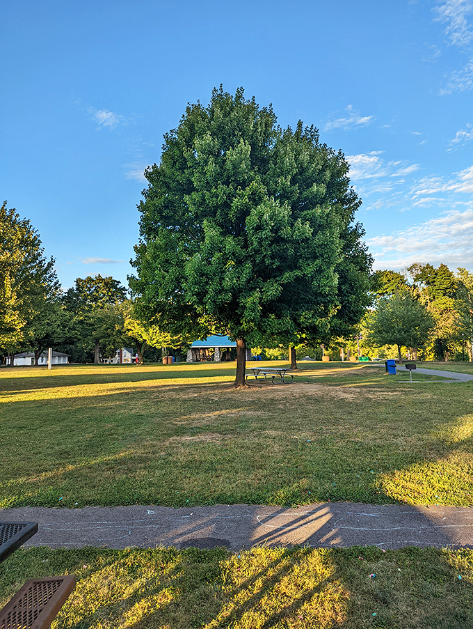 This majestic tree in Walters Park has witnessed generations of first dates, family picnics, and seniors enjoying their well-deserved leisure time.